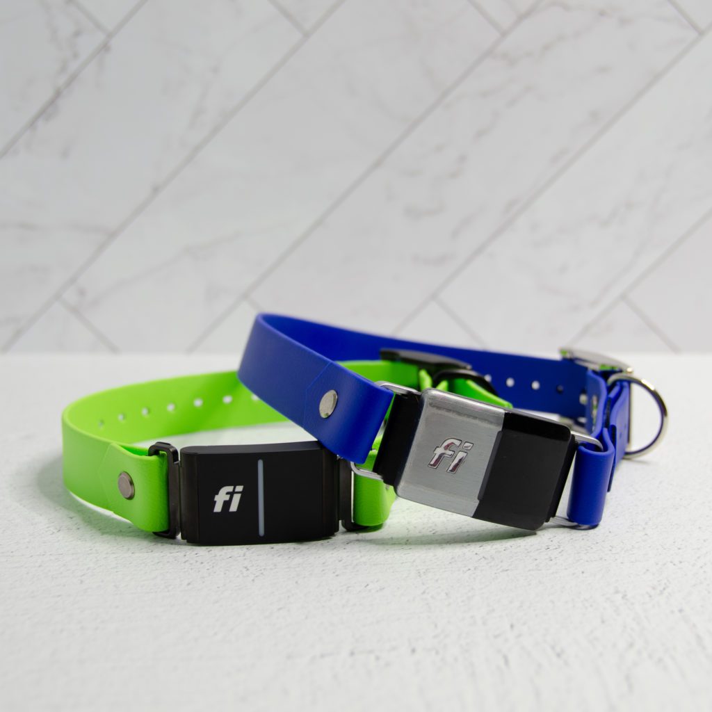 1 Inch BioThane Fi Compatible Dog Collar – Series 1, 2, 3 & 3+